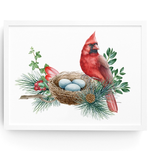 Art | Red Cardinal Bird Wall Art Watercolor Illustration Print Poster ...